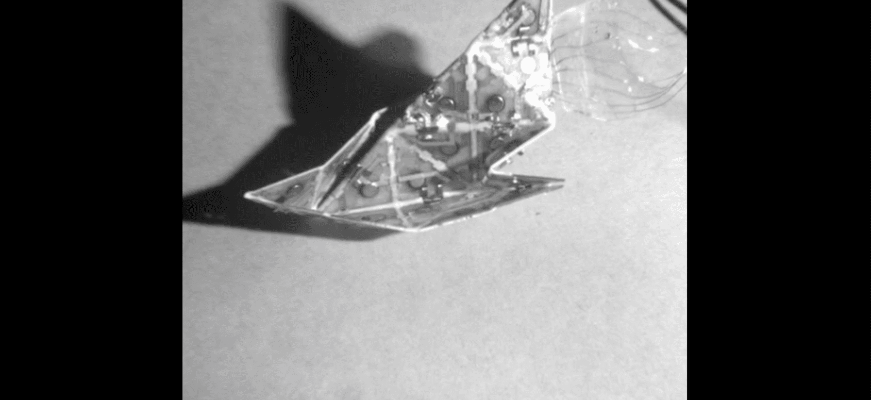 Programmable Matter by Folding