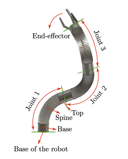 Optimal Design Of Continuum Robots With Reachability Constraints