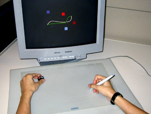 Exploring Bimanual Camera Control And Object Manipulation In 3d Graphics Interfaces