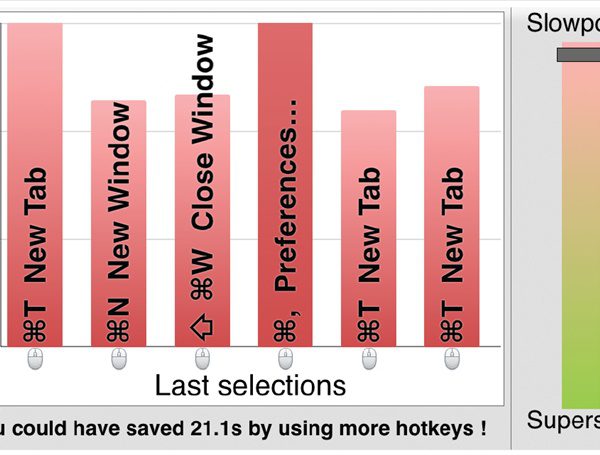 Skillometers: Reflective Widgets that Motivate and Help Users to ...