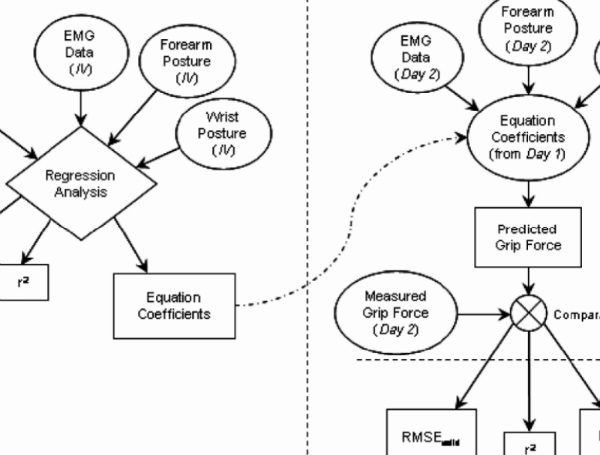 The Development and Validation of Equations to Predict Grip Force in ...