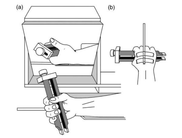 The Effects of Posture on Forearm Muscle Loading During Gripping