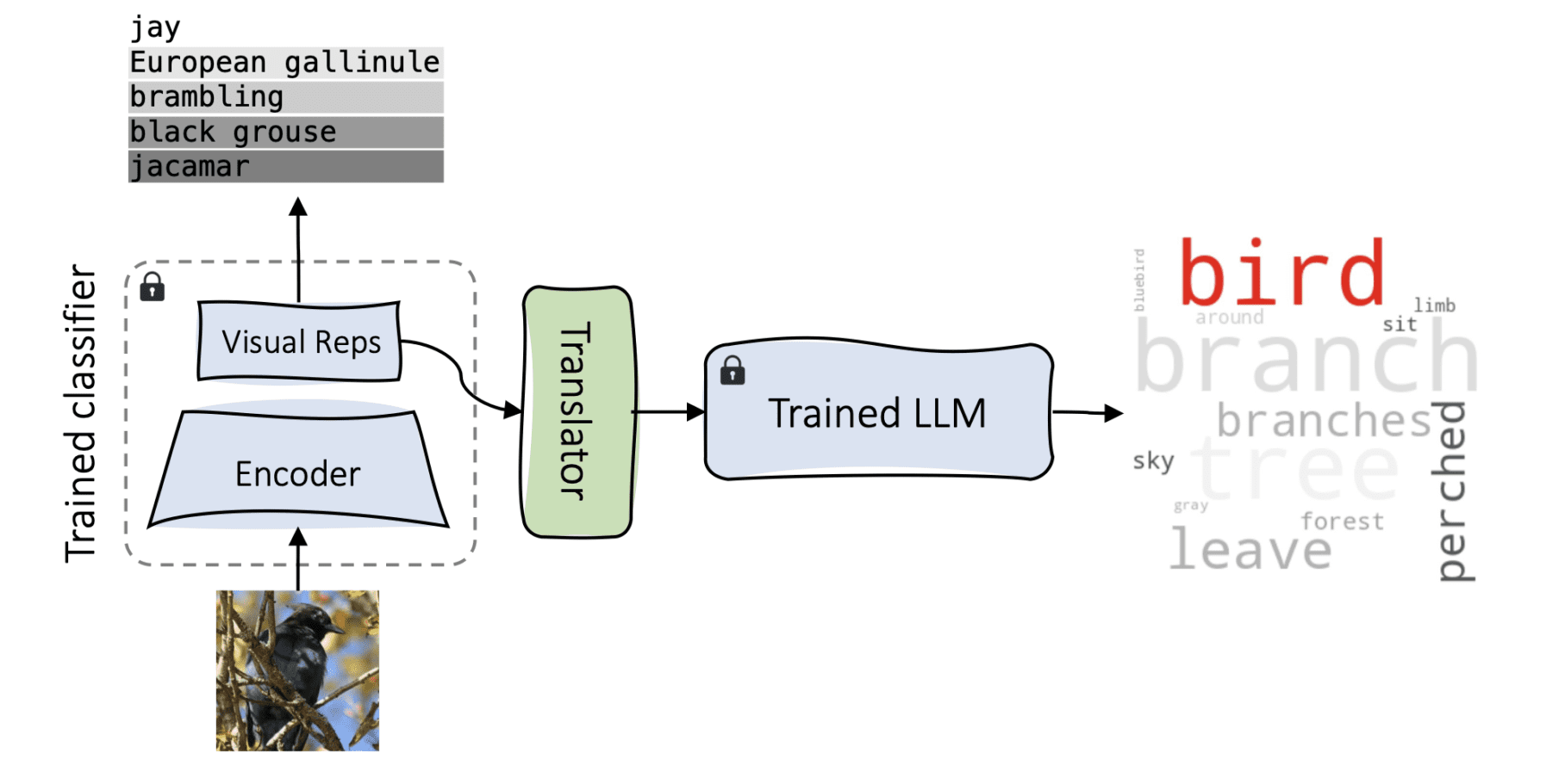 Learned Visual Features To Textual Explanations