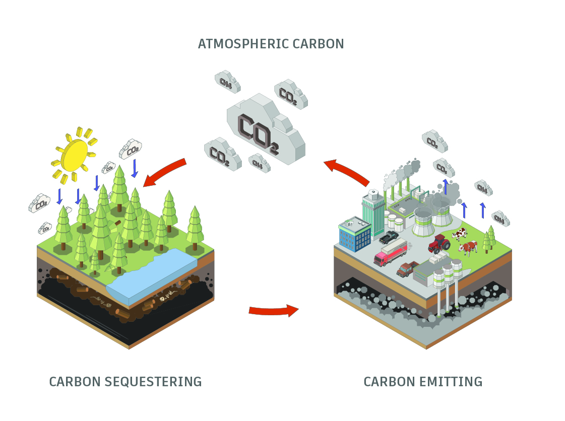 Exploring Carbon-Negative Materials: Autodesk Research's Path to Net-Zero Buildings
