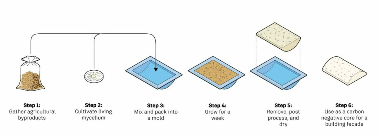Exploring Carbon-Negative Materials: Autodesk Research's Path to Net ...